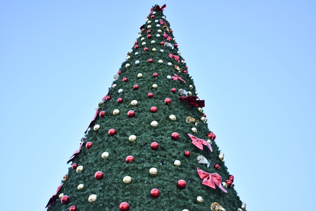 Фоторептортаж. «Mega Nukus» саўда-кеўил ашар орайы алдына Қытайдан алып ...